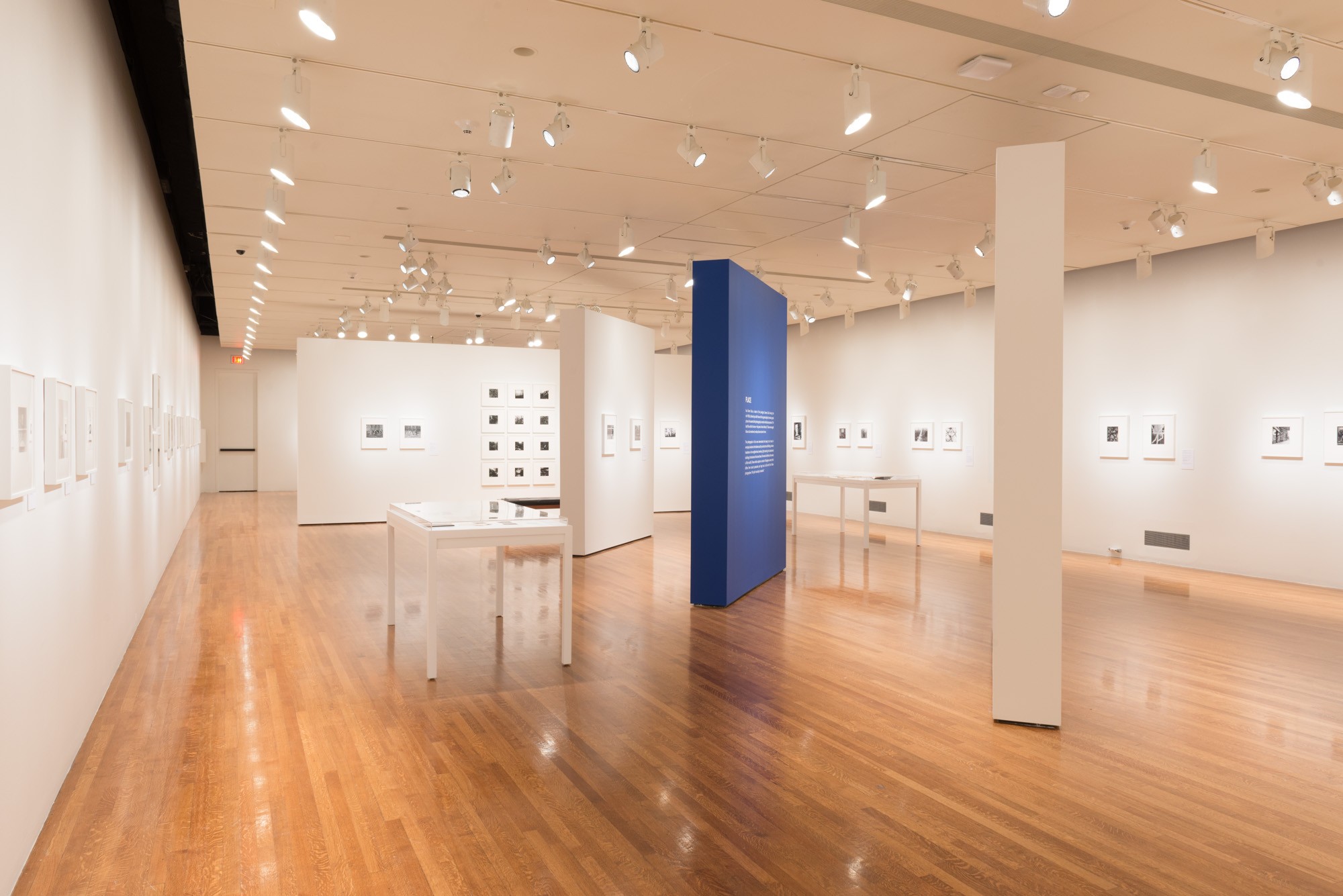 Brian Sholis · Kentucky Renaissance